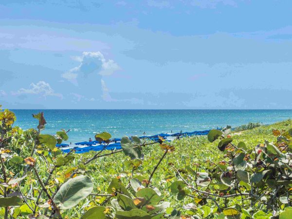 [OFFICIAL®] Cubanacan Hotels | Hotel Marazul