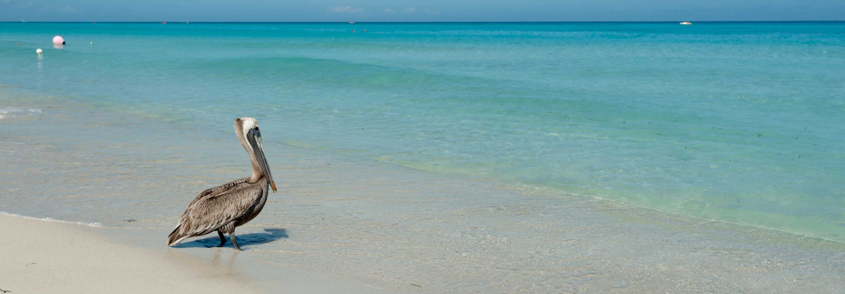 [Official®] Varadero | Cubanacan Hoteles